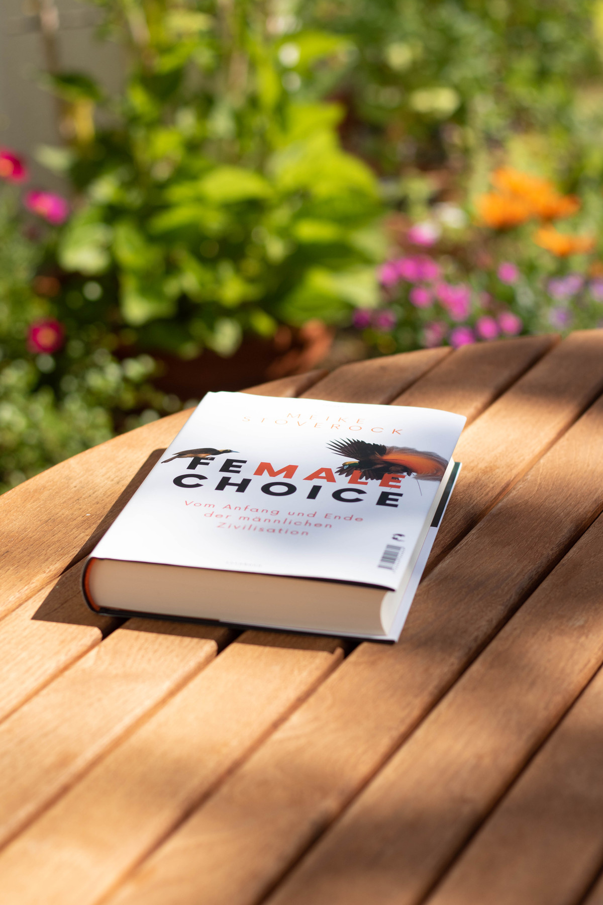 3f liest - Book Review "Female Choice" - Female Finance Forum